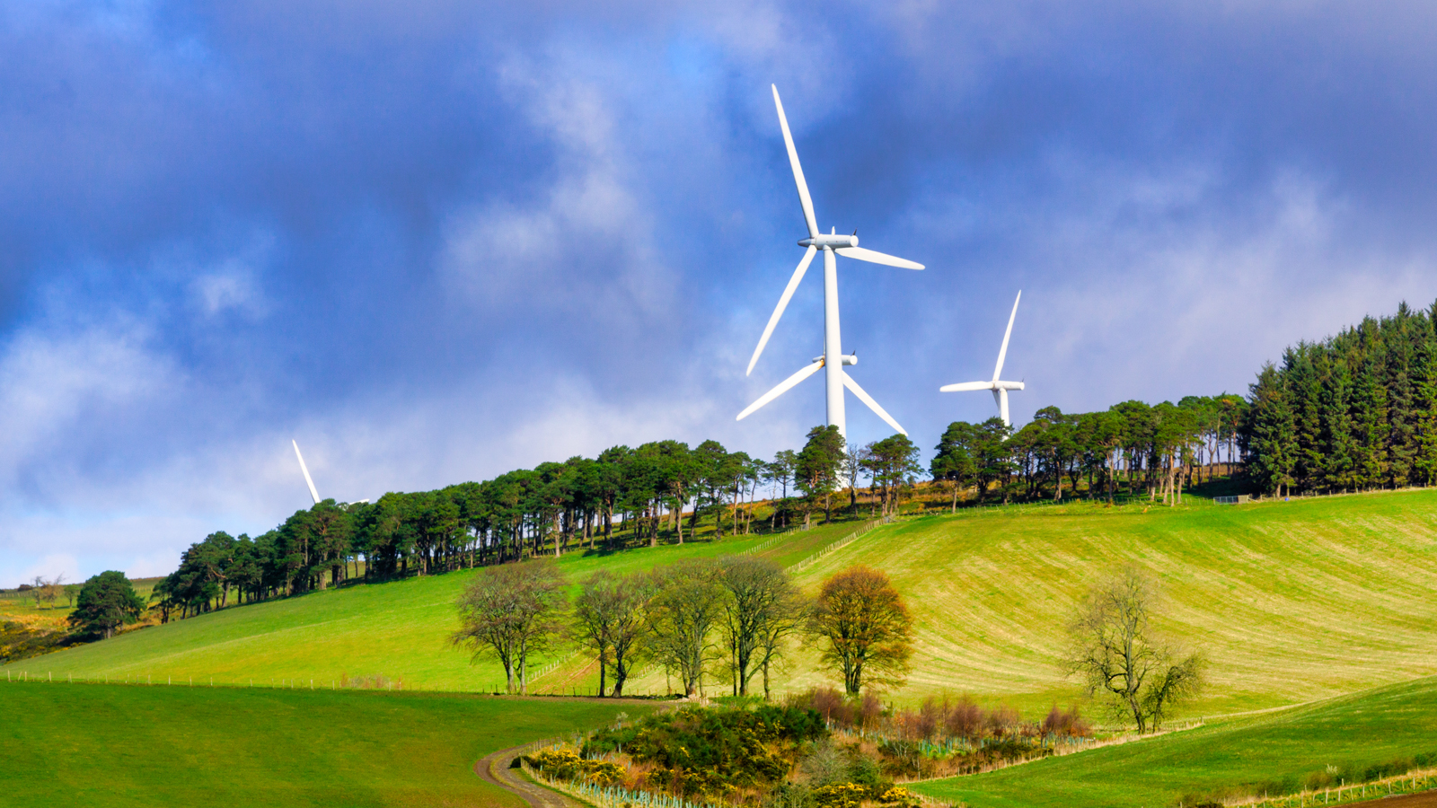 Balancing the Grid - Net Zero Challenge 1 - ITPEnergised